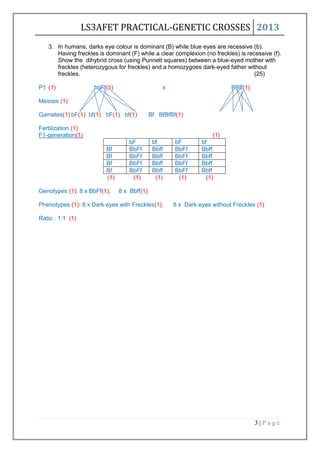 Genetic crosses worksheet | DOCX