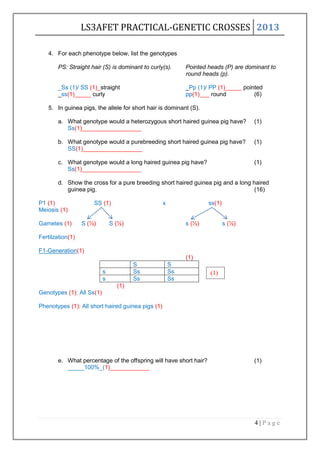 Genetic crosses worksheet | DOCX