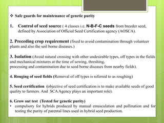 Genetic deterioration Seed ageing of improved variety seed, Maintenance ...