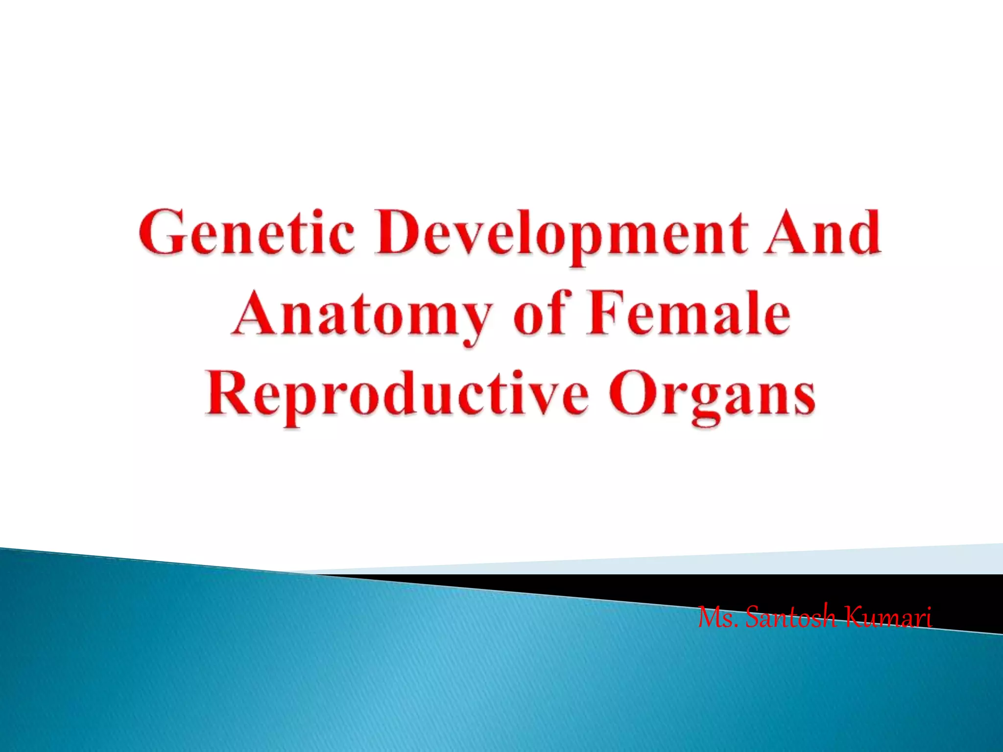 Genetic development and anatomy of female reproductive organs | PPTX
