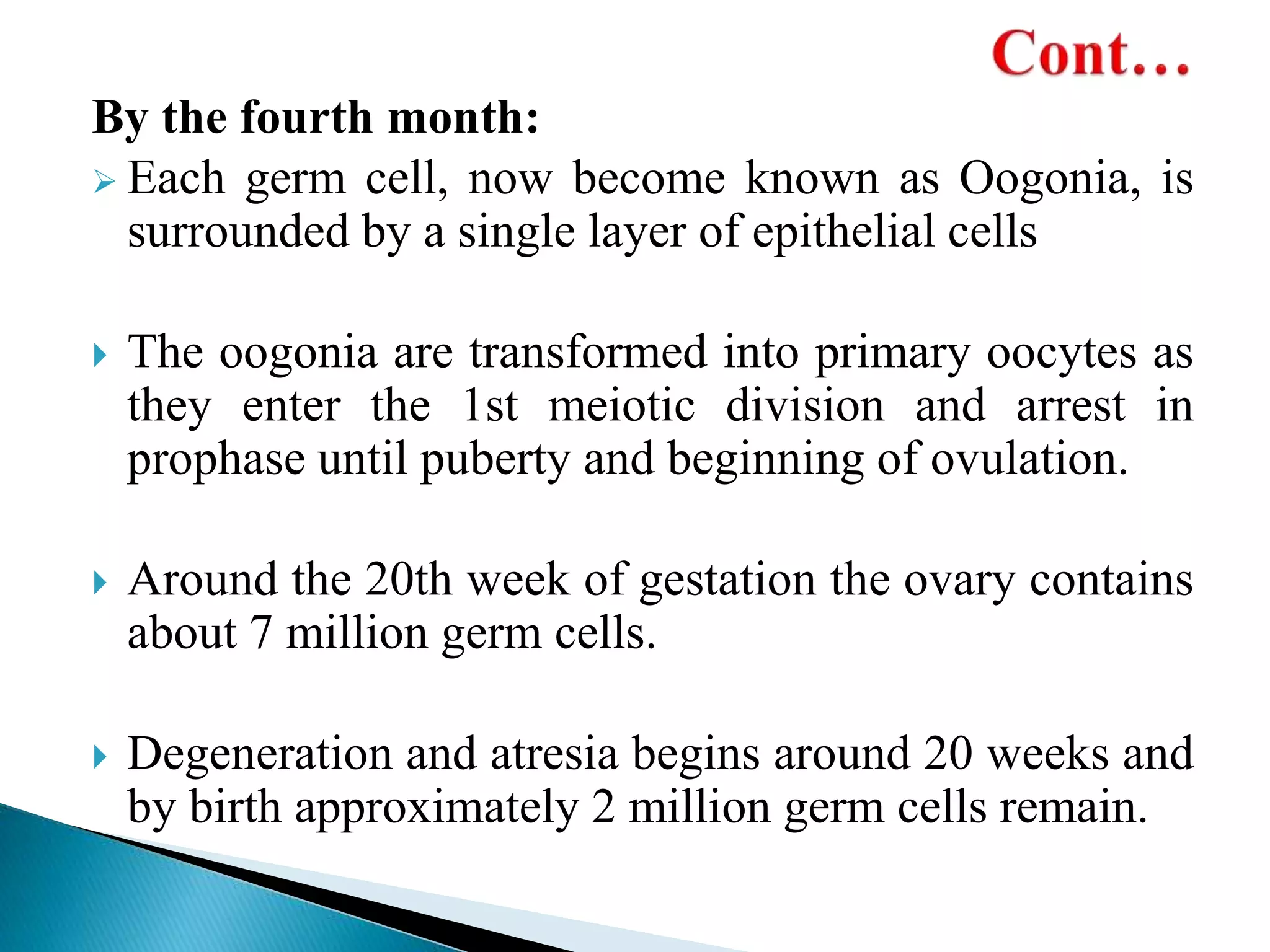 Genetic development and anatomy of female reproductive organs | PPTX