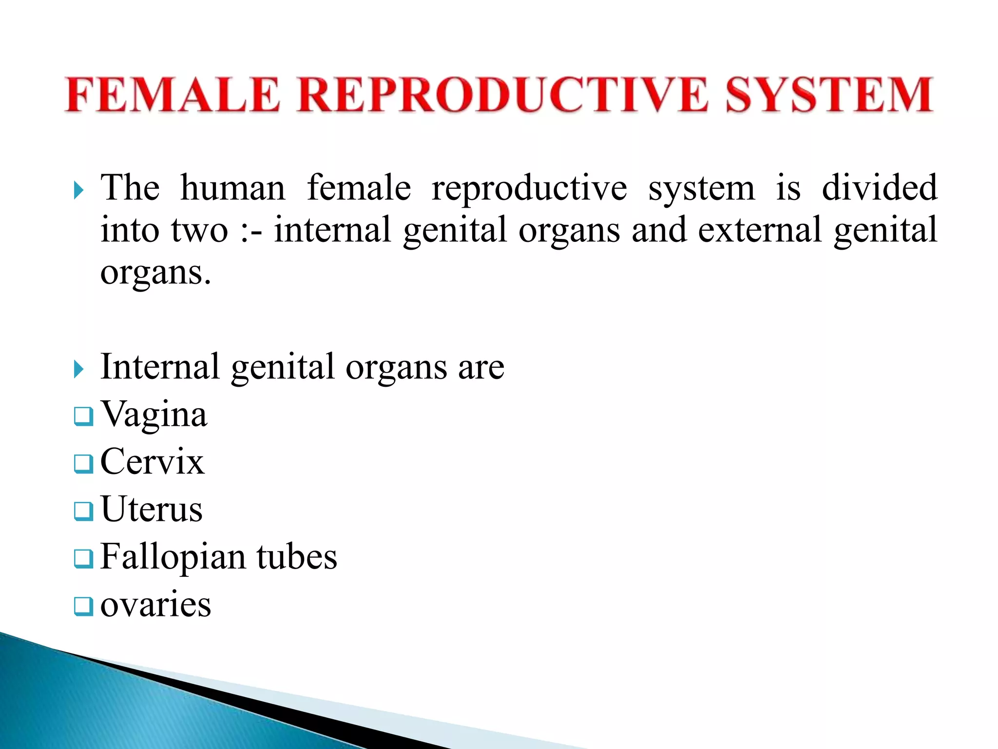 Genetic development and anatomy of female reproductive organs | PPTX