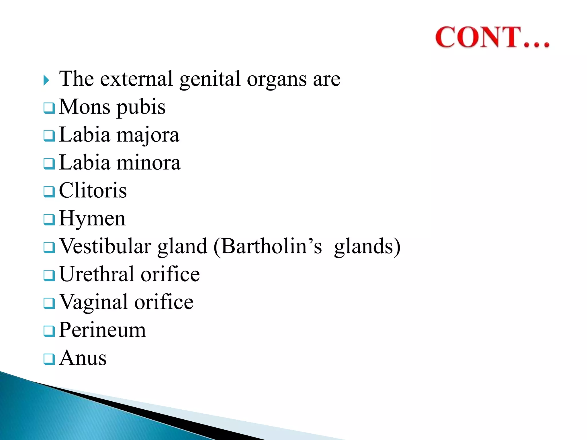 Genetic development and anatomy of female reproductive organs | PPTX