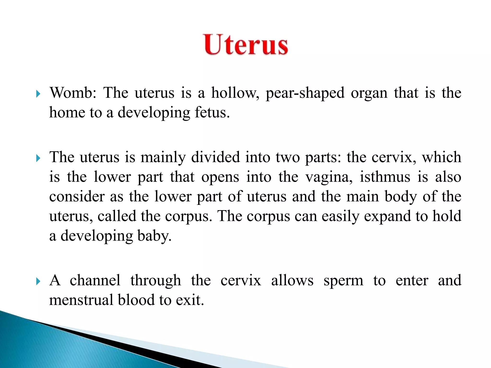 Genetic development and anatomy of female reproductive organs | PPTX