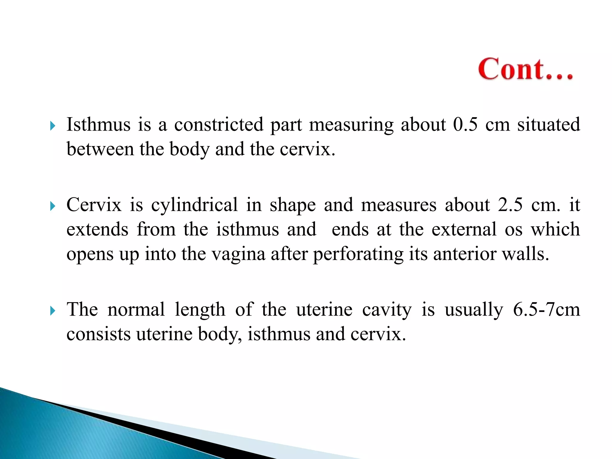 Genetic development and anatomy of female reproductive organs | PPTX