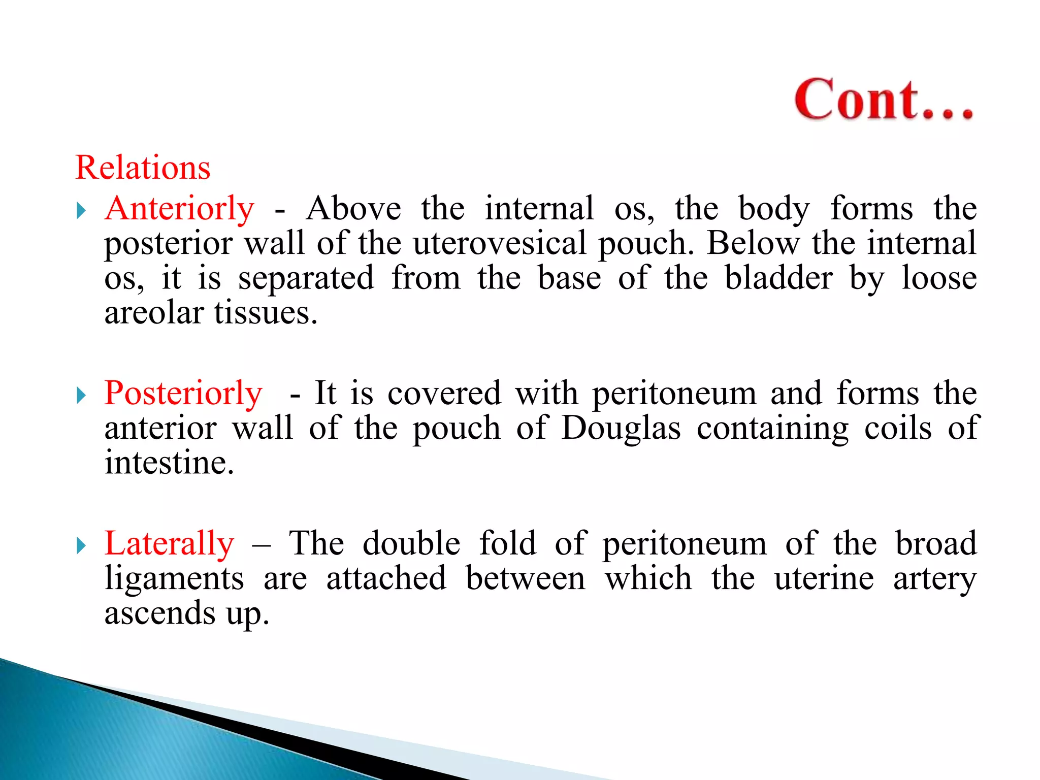 Genetic development and anatomy of female reproductive organs | PPTX