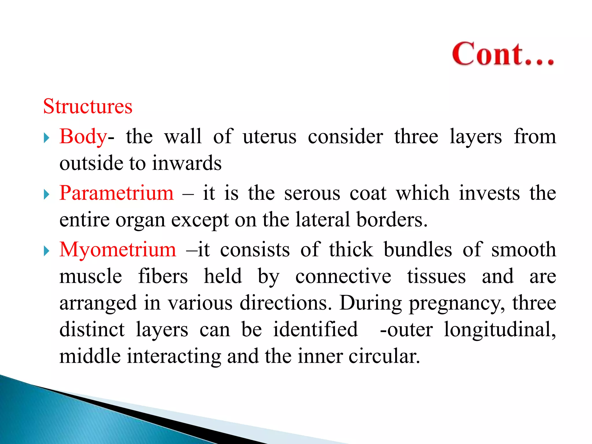 Genetic development and anatomy of female reproductive organs | PPTX