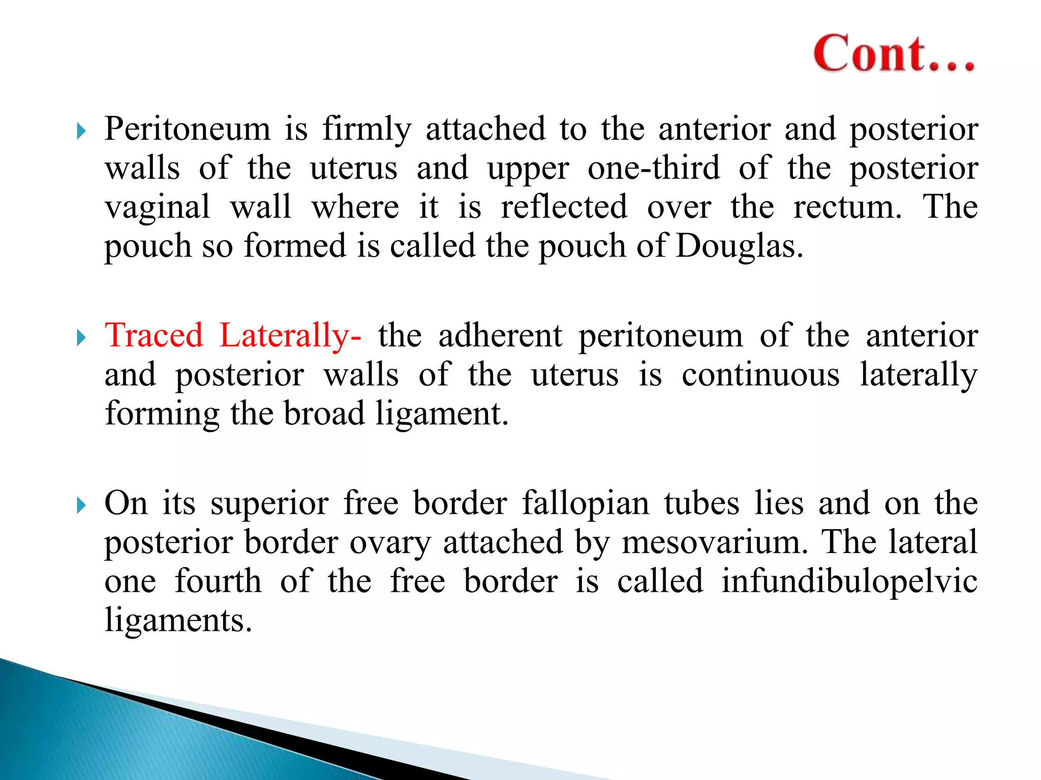 Genetic development and anatomy of female reproductive organs | PPTX