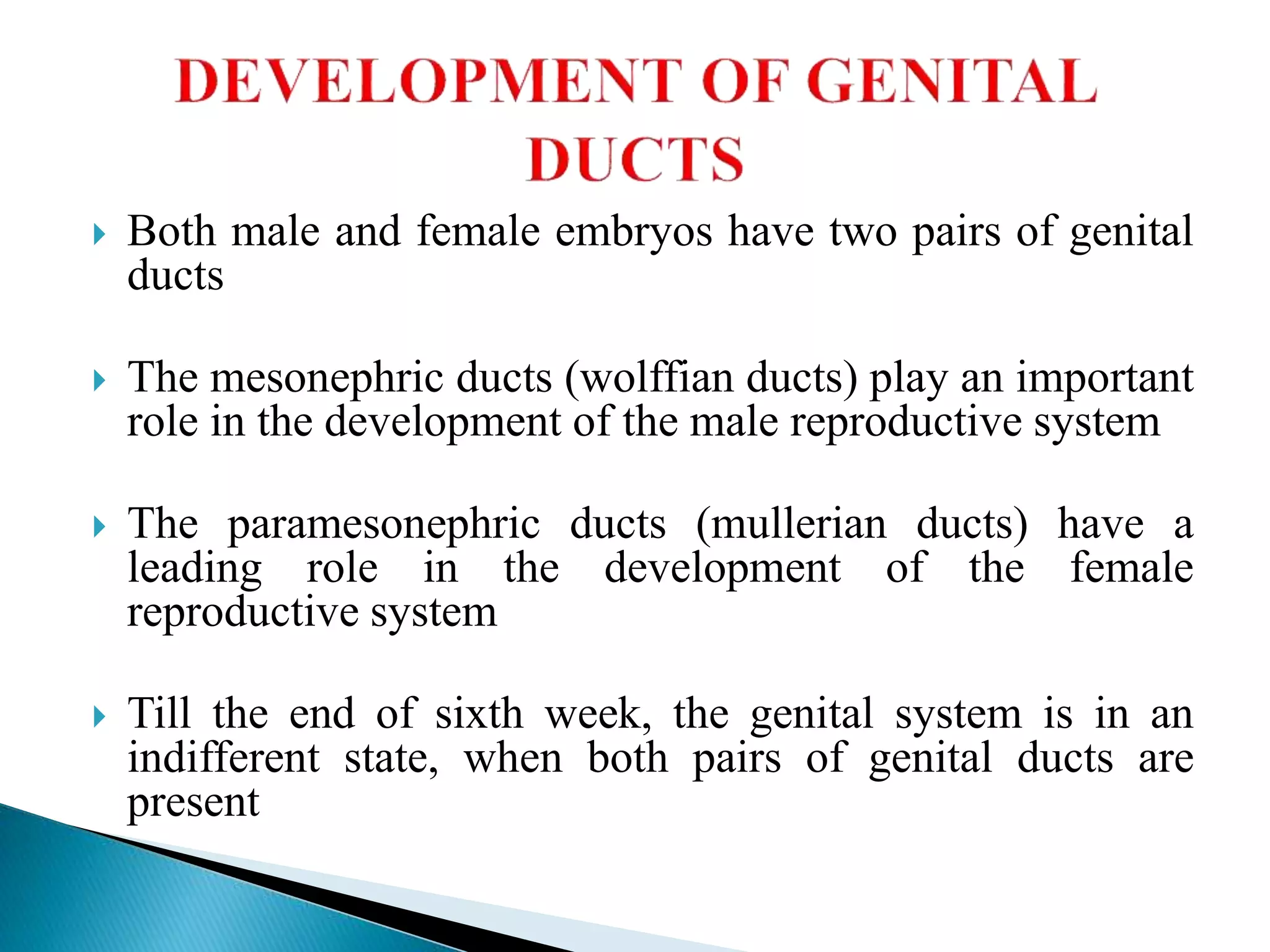 Genetic development and anatomy of female reproductive organs | PPTX