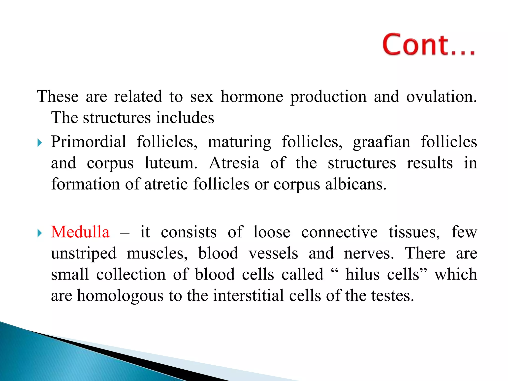 Genetic development and anatomy of female reproductive organs | PPTX
