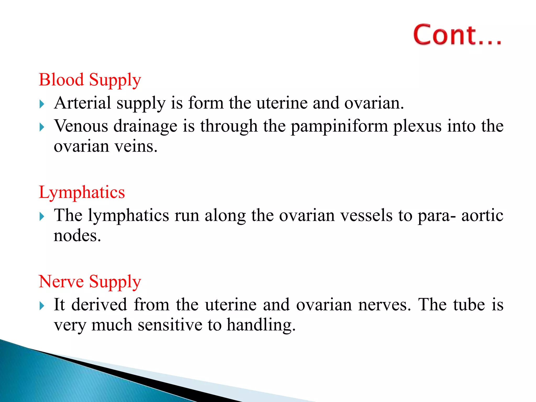 Genetic development and anatomy of female reproductive organs | PPTX