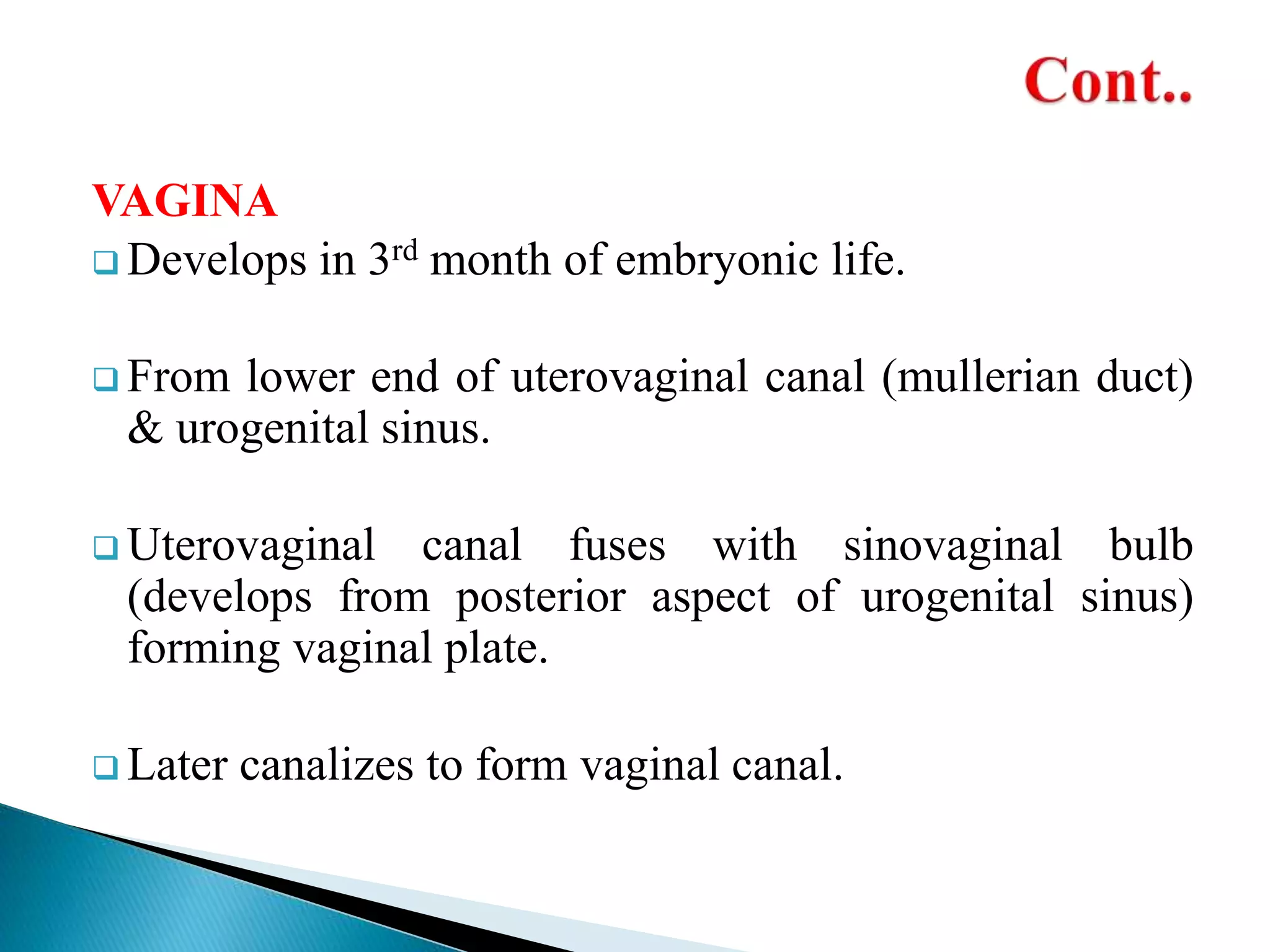 Genetic development and anatomy of female reproductive organs | PPTX