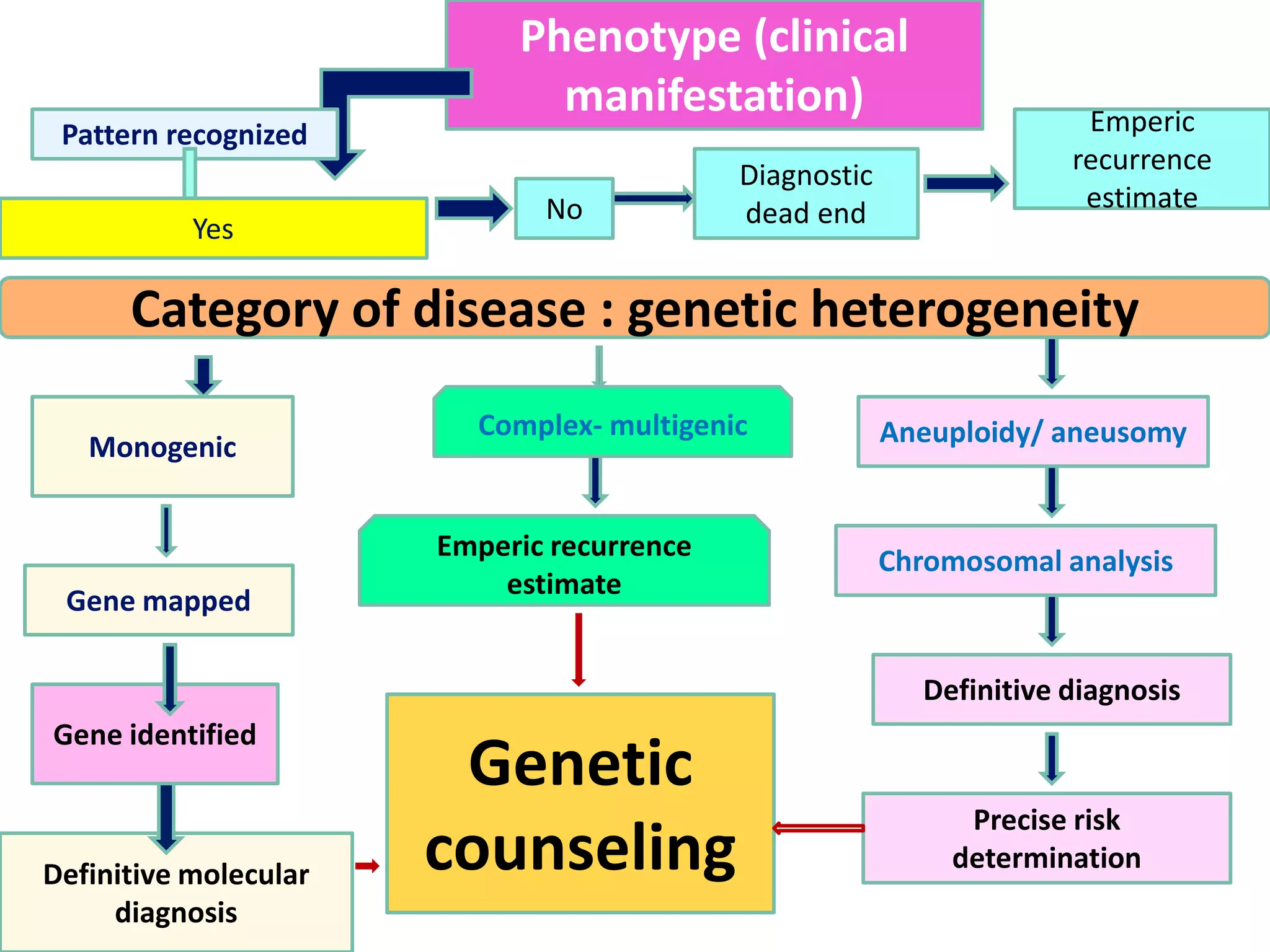 genetic diagnostic approach to malformed fetus .pptx