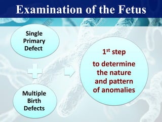 genetic diagnostic approach to malformed fetus .pptx