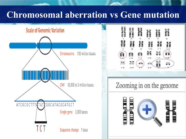 genetic diagnostic approach to malformed fetus .pptx