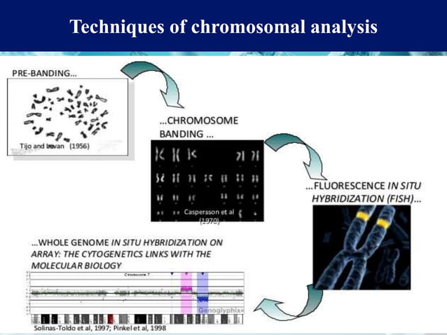 genetic diagnostic approach to malformed fetus .pptx