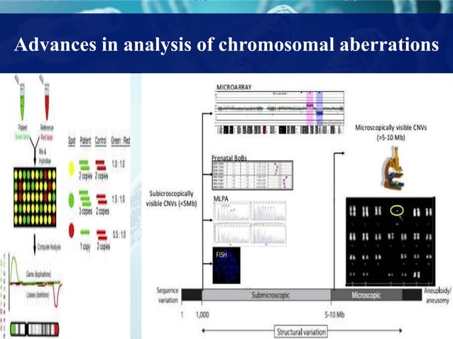 genetic diagnostic approach to malformed fetus .pptx