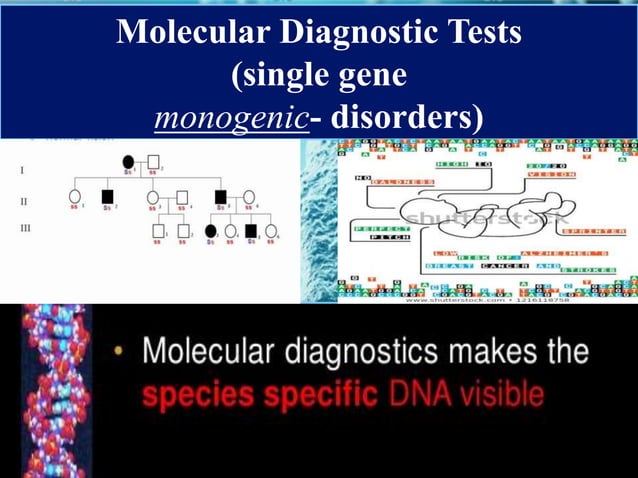 genetic diagnostic approach to malformed fetus .pptx