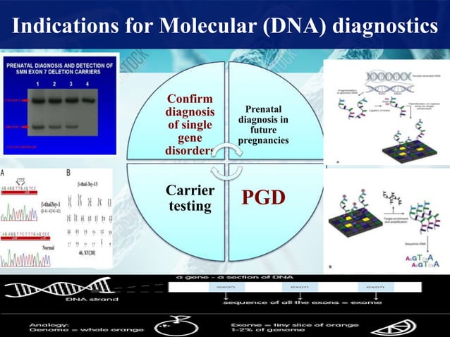 genetic diagnostic approach to malformed fetus .pptx