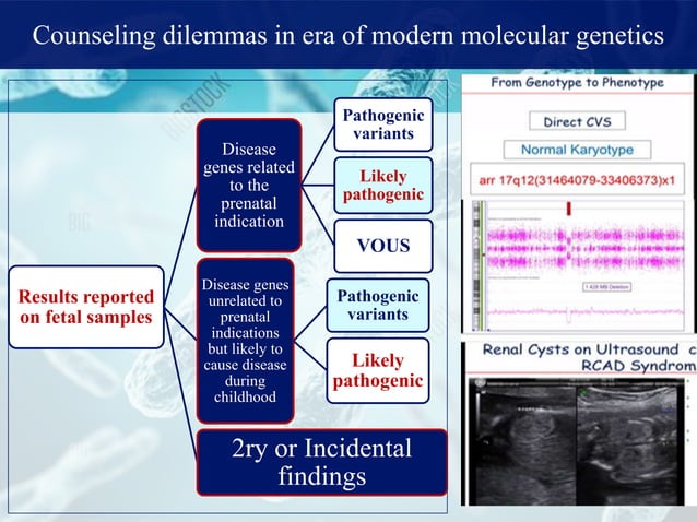 genetic diagnostic approach to malformed fetus .pptx