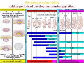 genetic diagnostic approach to malformed fetus .pptx