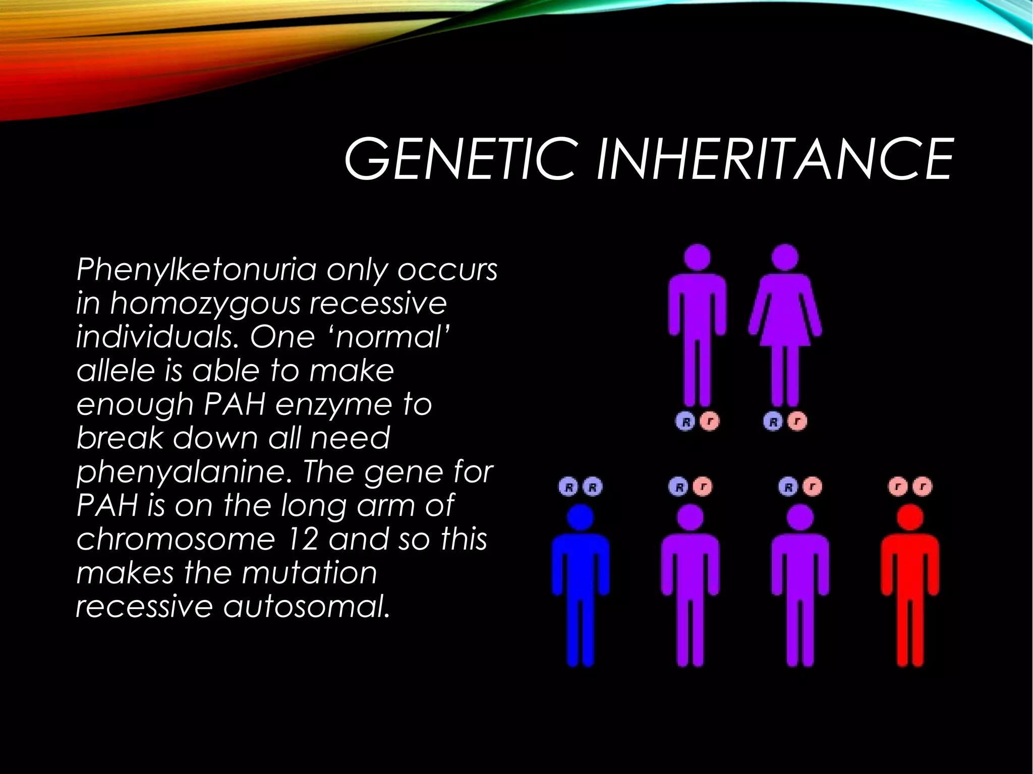 Phenylketonuria: Genetic diseases | PPT