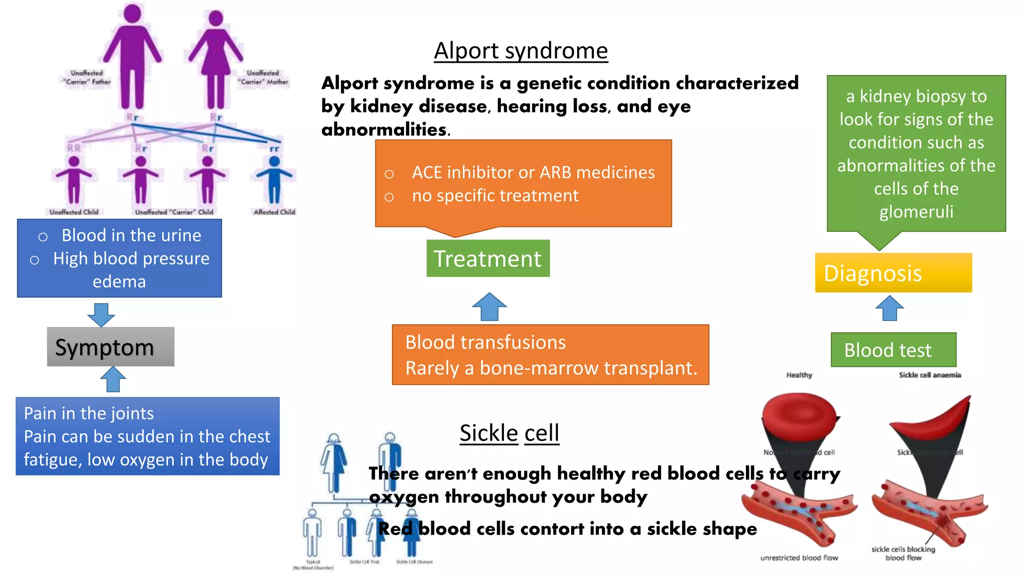 Genetic diseases. | PPTX