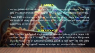 GENETIC DISEASES- PKU, SICKEL CELL ANAEMIA AND THALSSEMIA | PPTX
