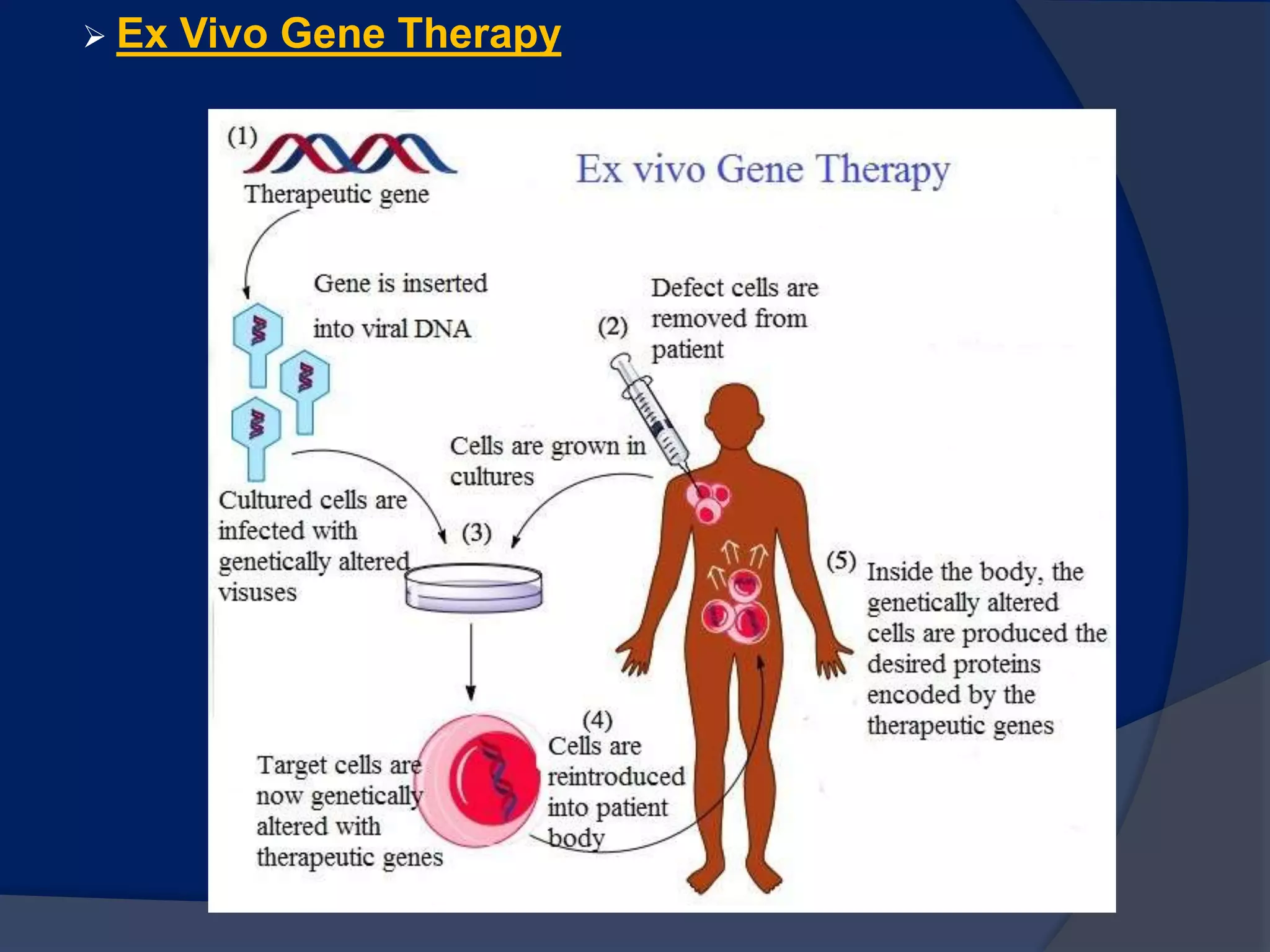 Genetic diseases and gene therapy | PPTX