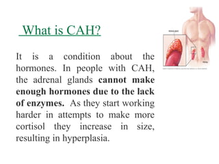 Genetic disorder | PPT