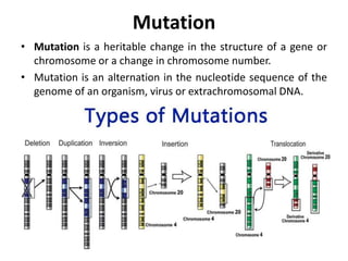 Genetic disorder or Genetically transmitted disease | PPTX