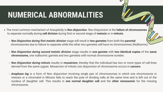 Genetic Disorders: Causes, Classifications and Chromosomal ...