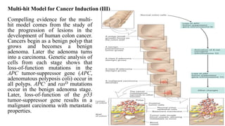 genetic disorder and cancer.pptx | Cancer | Diseases and Conditions