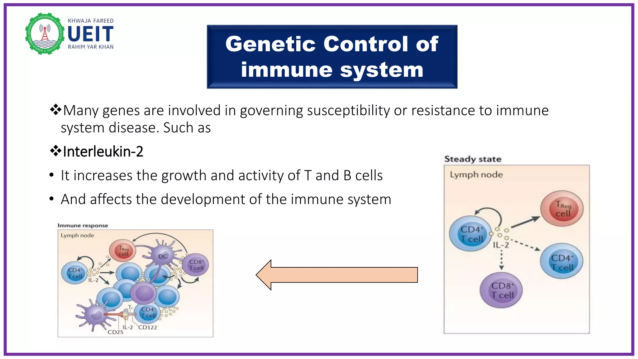 Genetic Disorder of Immune system presentation.pptx | Free Download