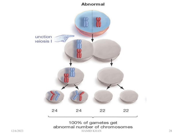 Genetic disorder power point lecture by Hamid Khan | PPT