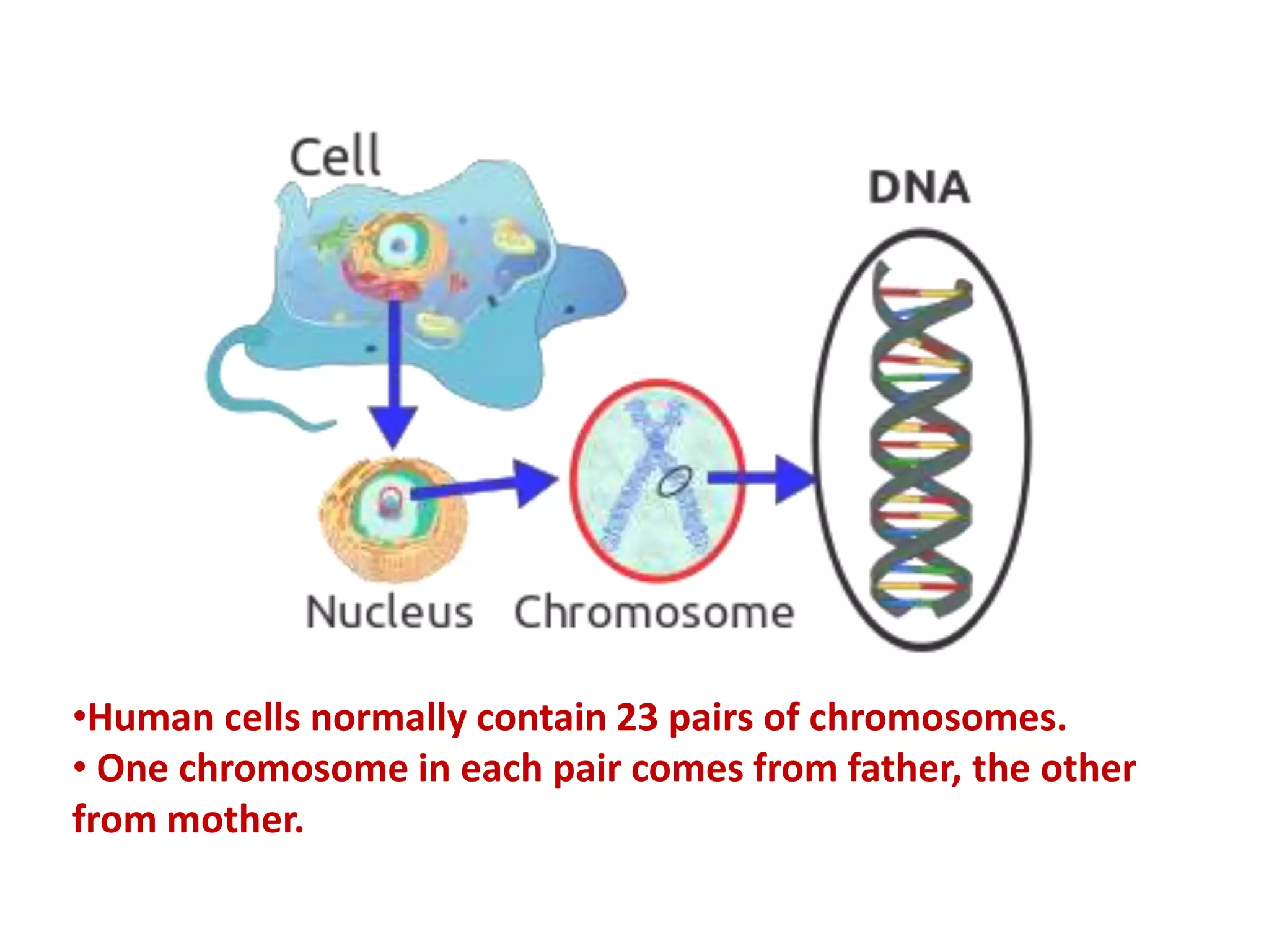 Genetic disorders | PPTX