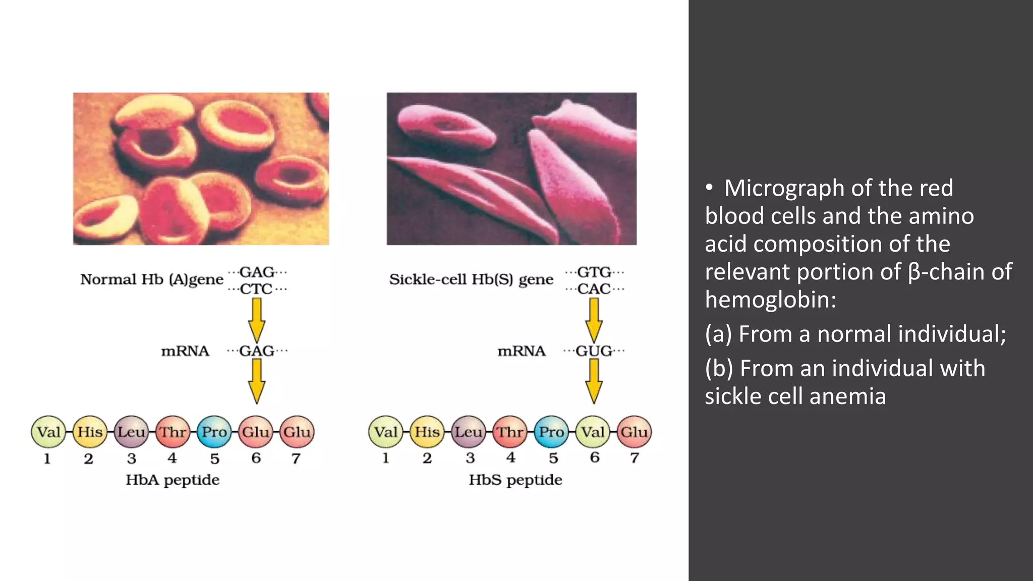 Genetic Disorders - Class XII - Biology | PPTX