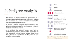 Genetic Disorders - Class XII - Biology | PPTX