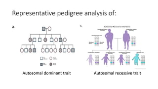 Genetic Disorders - Class XII - Biology | PPTX