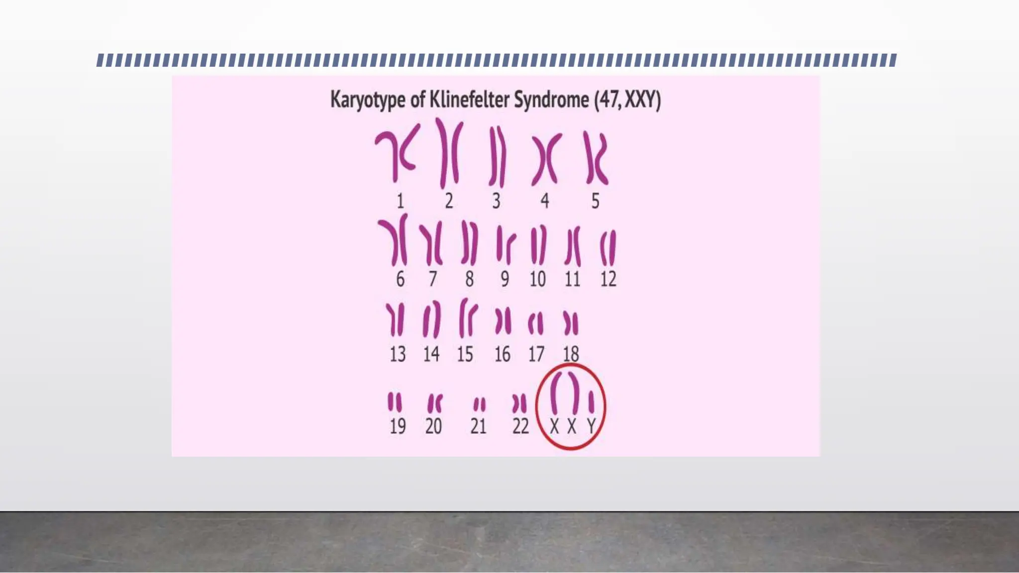 GENETIC DISORDERS.pptx pathology genetic malformations | PPTX