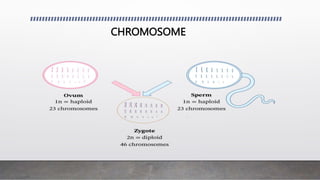 GENETIC DISORDERS.pptx pathology genetic malformations | PPT