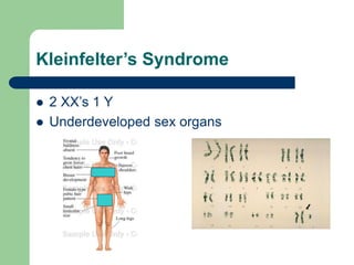 genetic_disorders___diseases.ppt