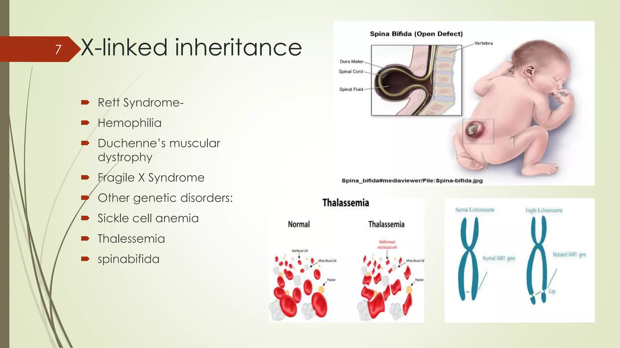 Genetic disorders during prenatal development | PPTX