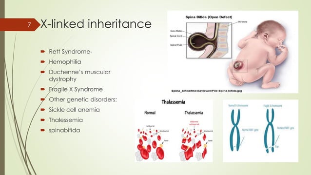 Genetic disorders during prenatal development