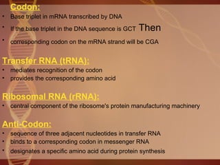 Genetic disorders 1 | PPT