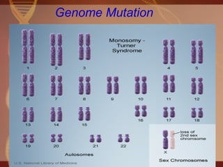 Monosomy Disorders 2