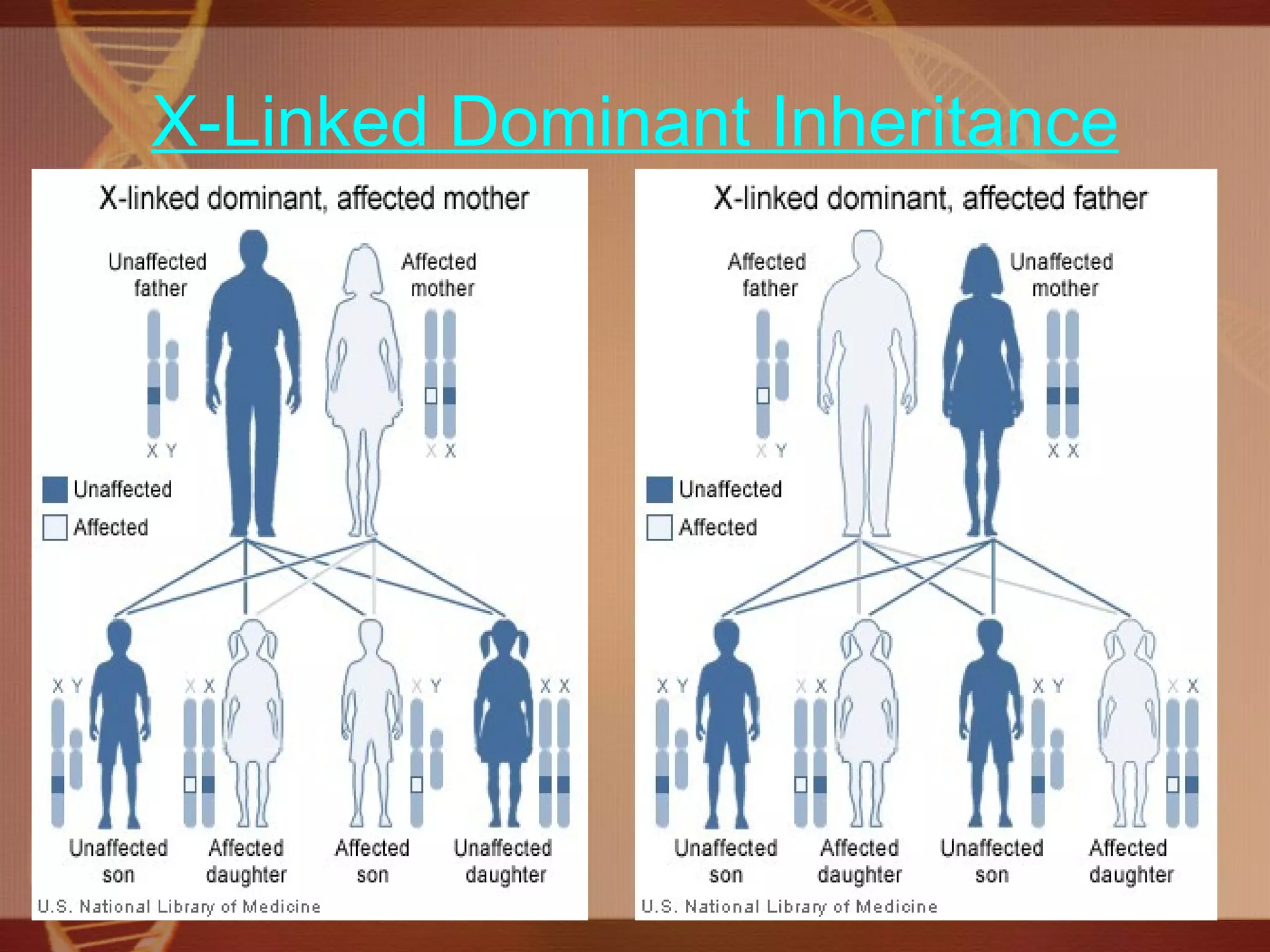 Genetic disorders 3 | PPT