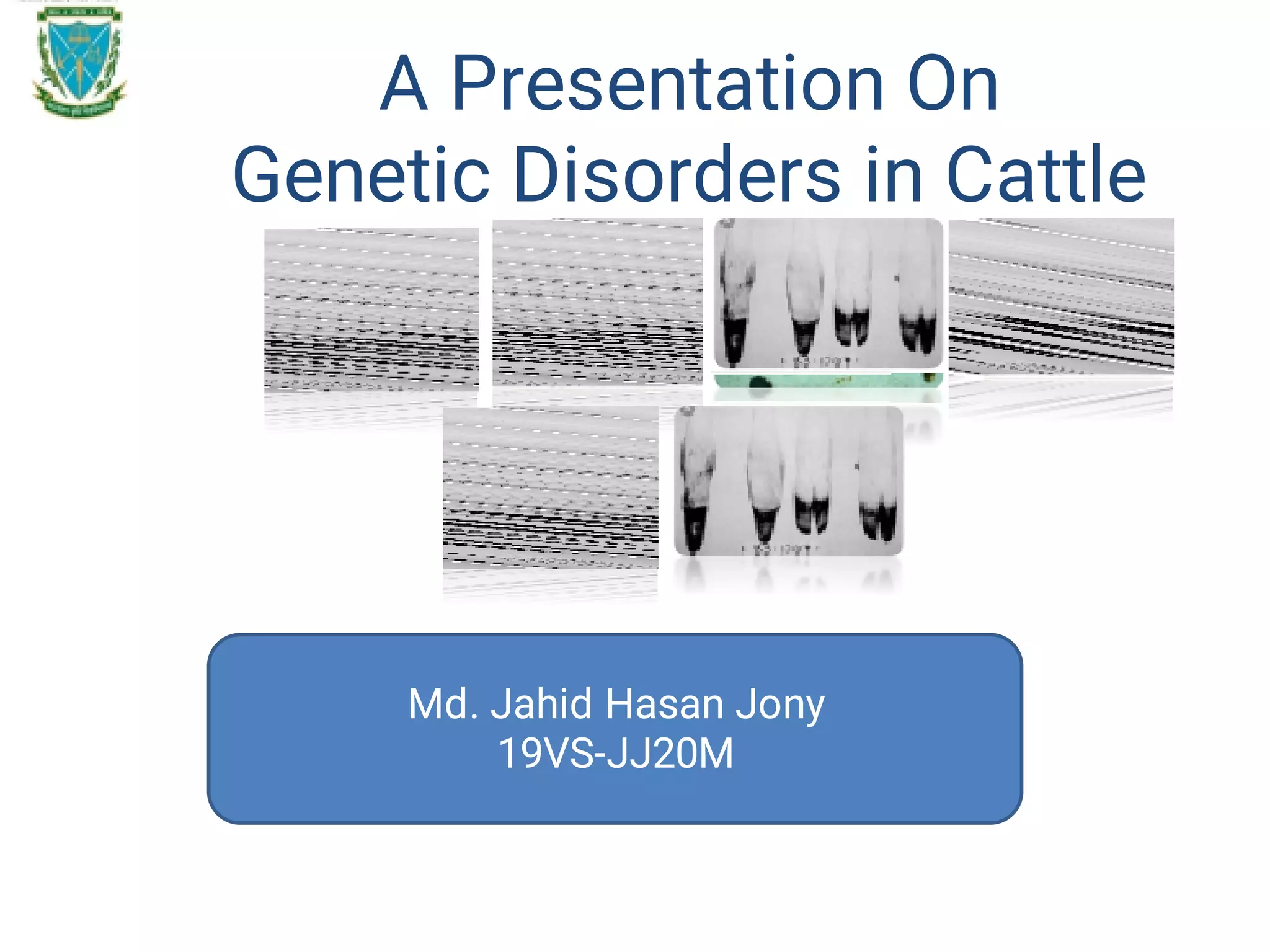 Genetic disorders in cattle | PDF