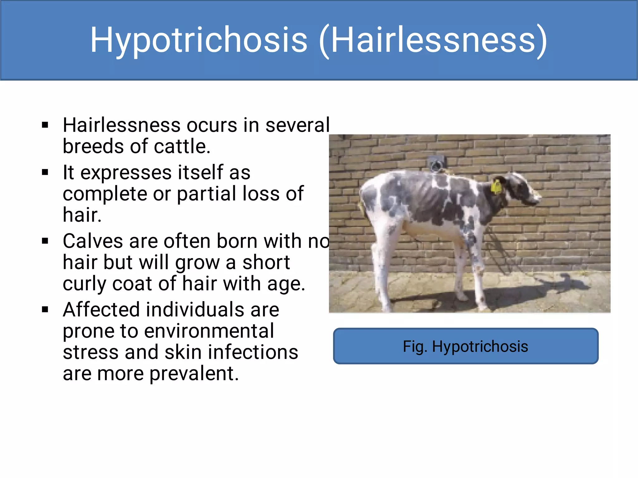 Genetic disorders in cattle | PDF
