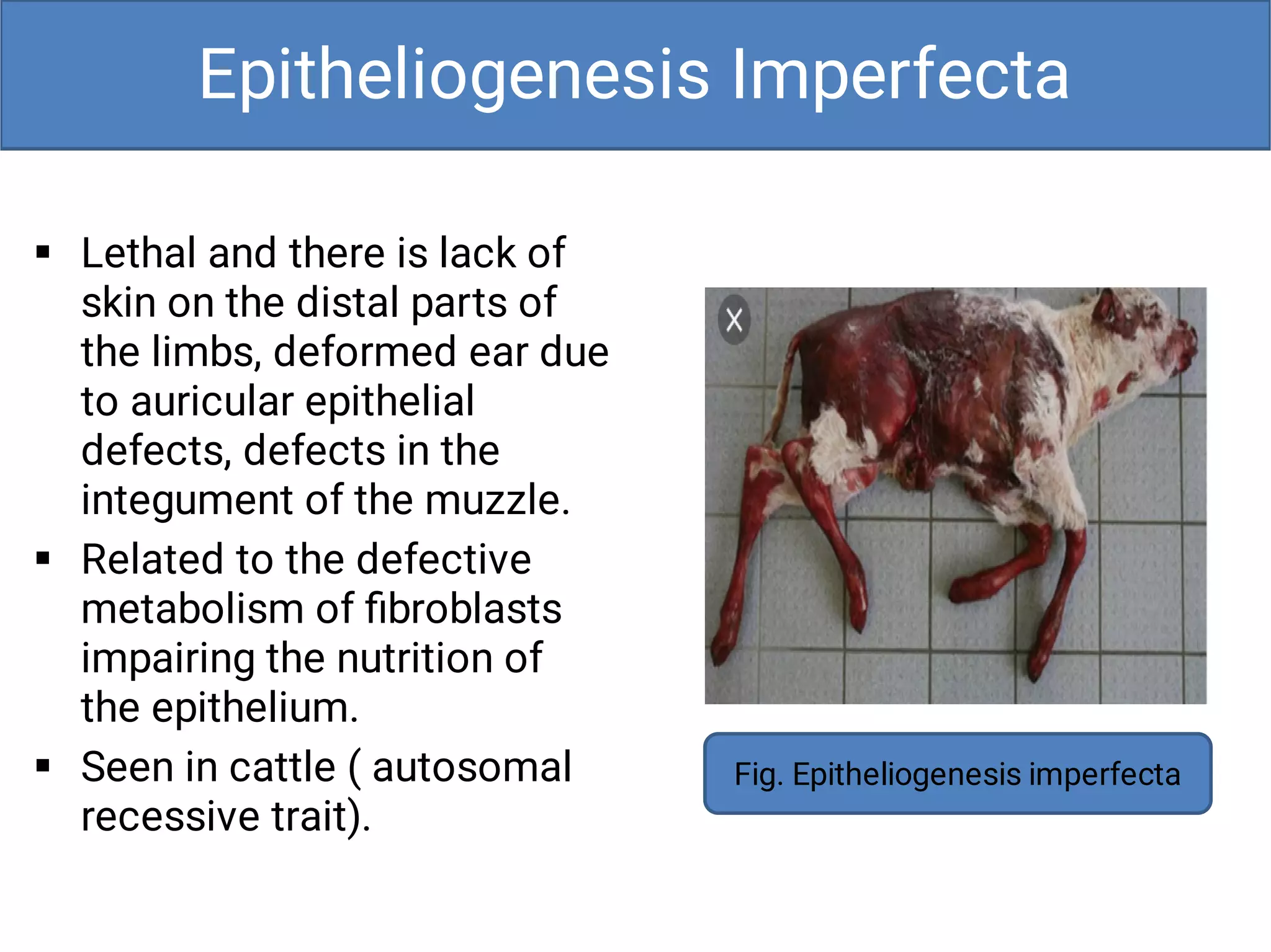 Genetic disorders in cattle | PDF